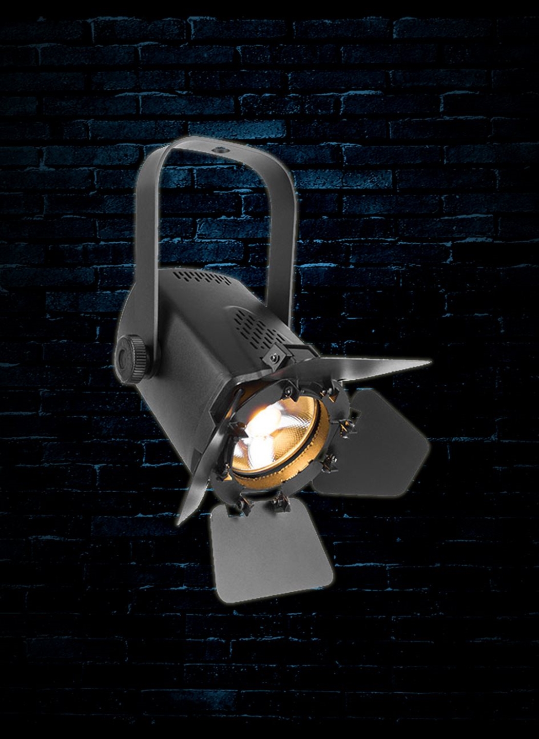 Chauvet DJ EVE TF-20 - LED PAR Can Lighting Fixture